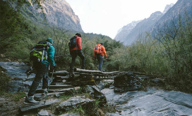 Super Retail Group Reports First Half Results - Power Retail